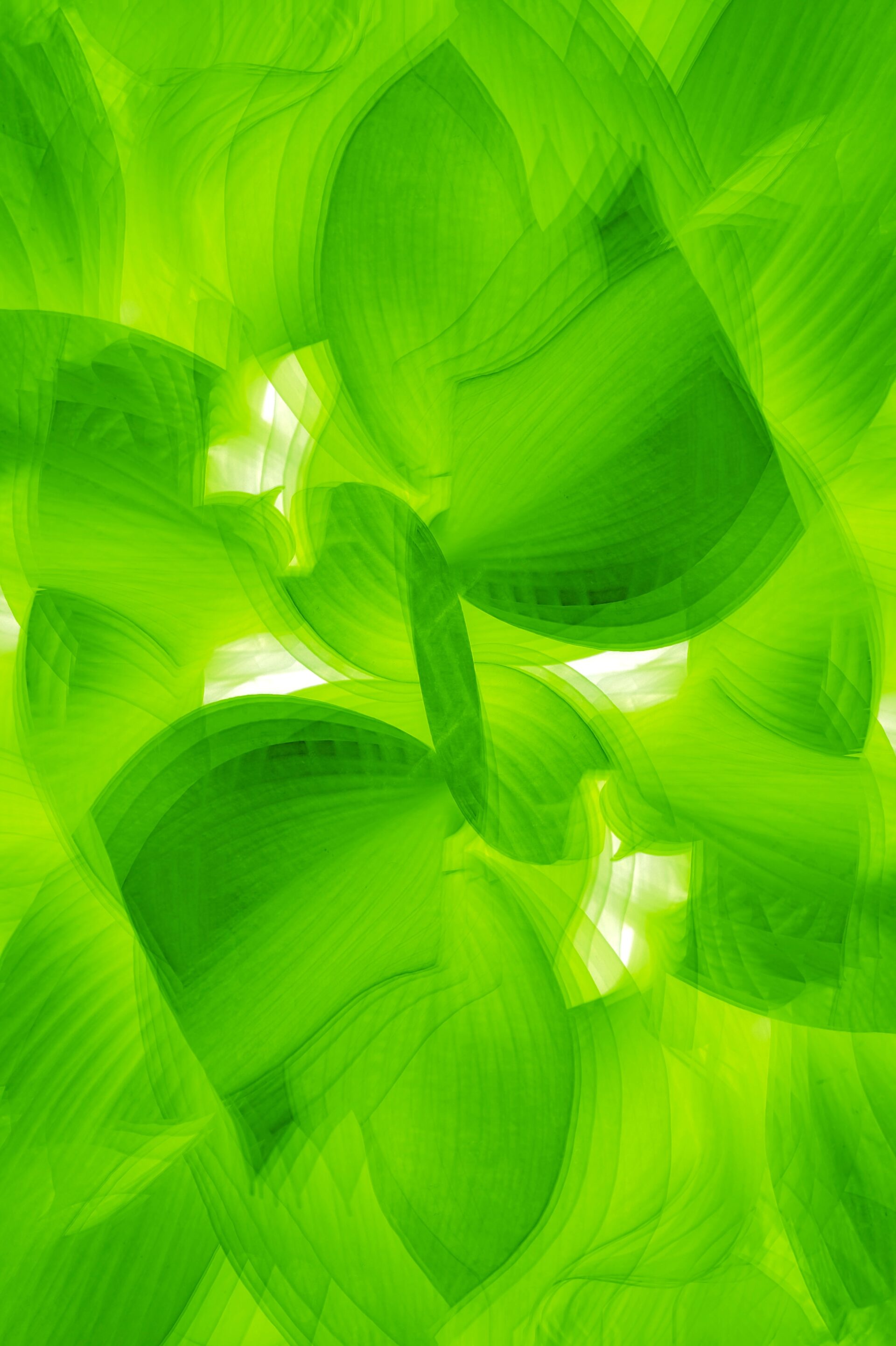 5g Router-Top Five Important Things You Need To Know.