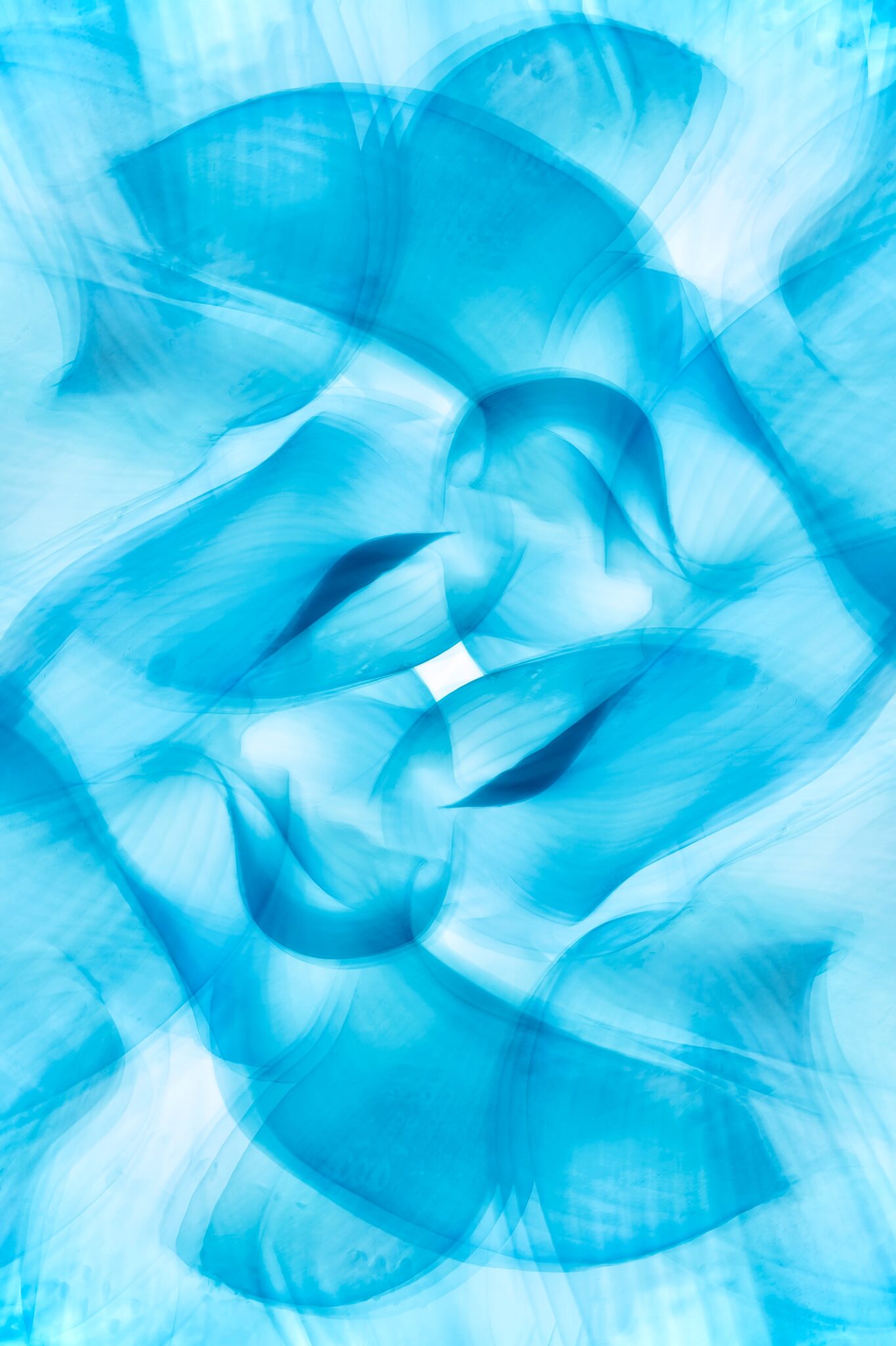 Botim-Top Ten Things You Need To Know.