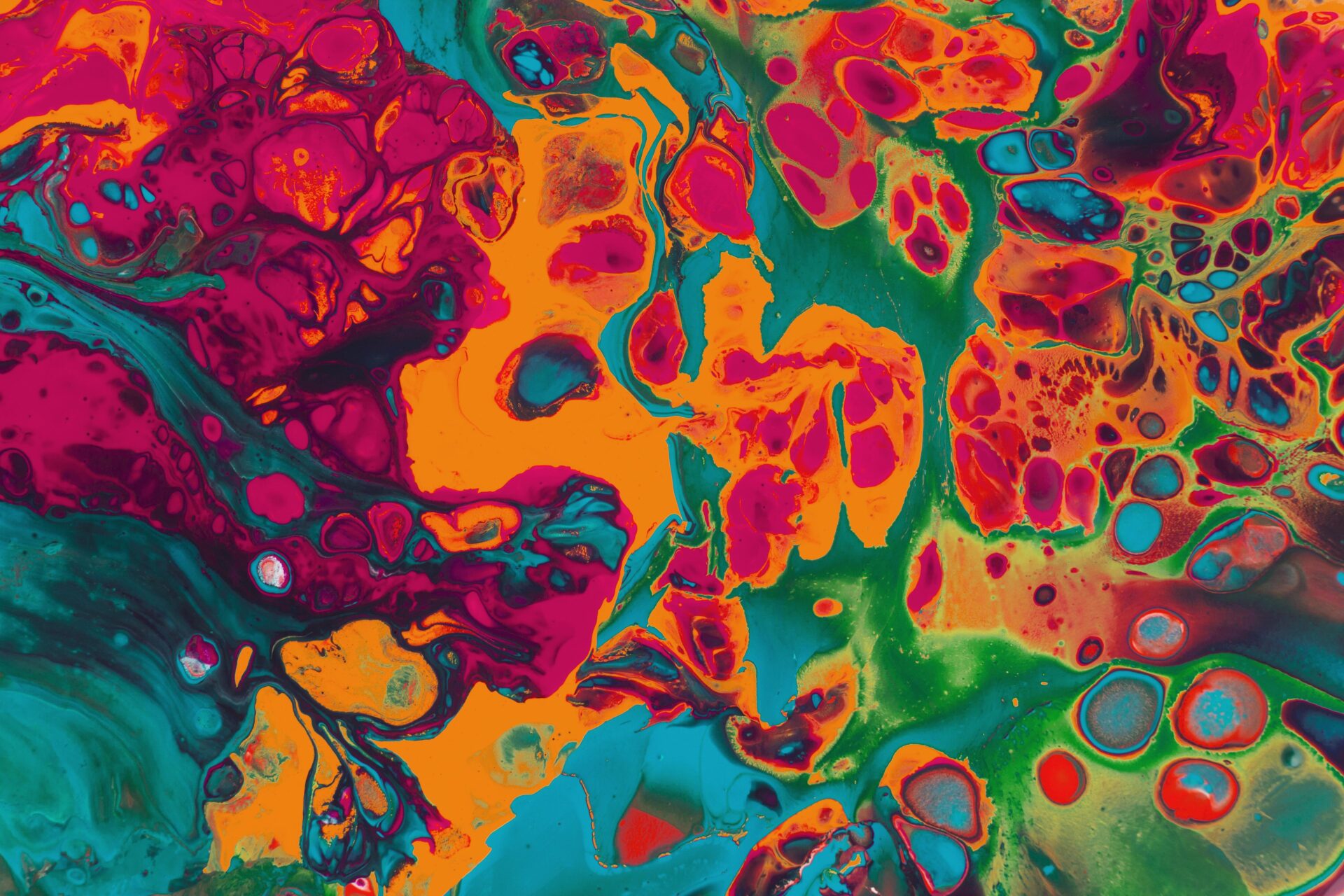 Deep Image Ai-Top Ten Things You Need To Know.