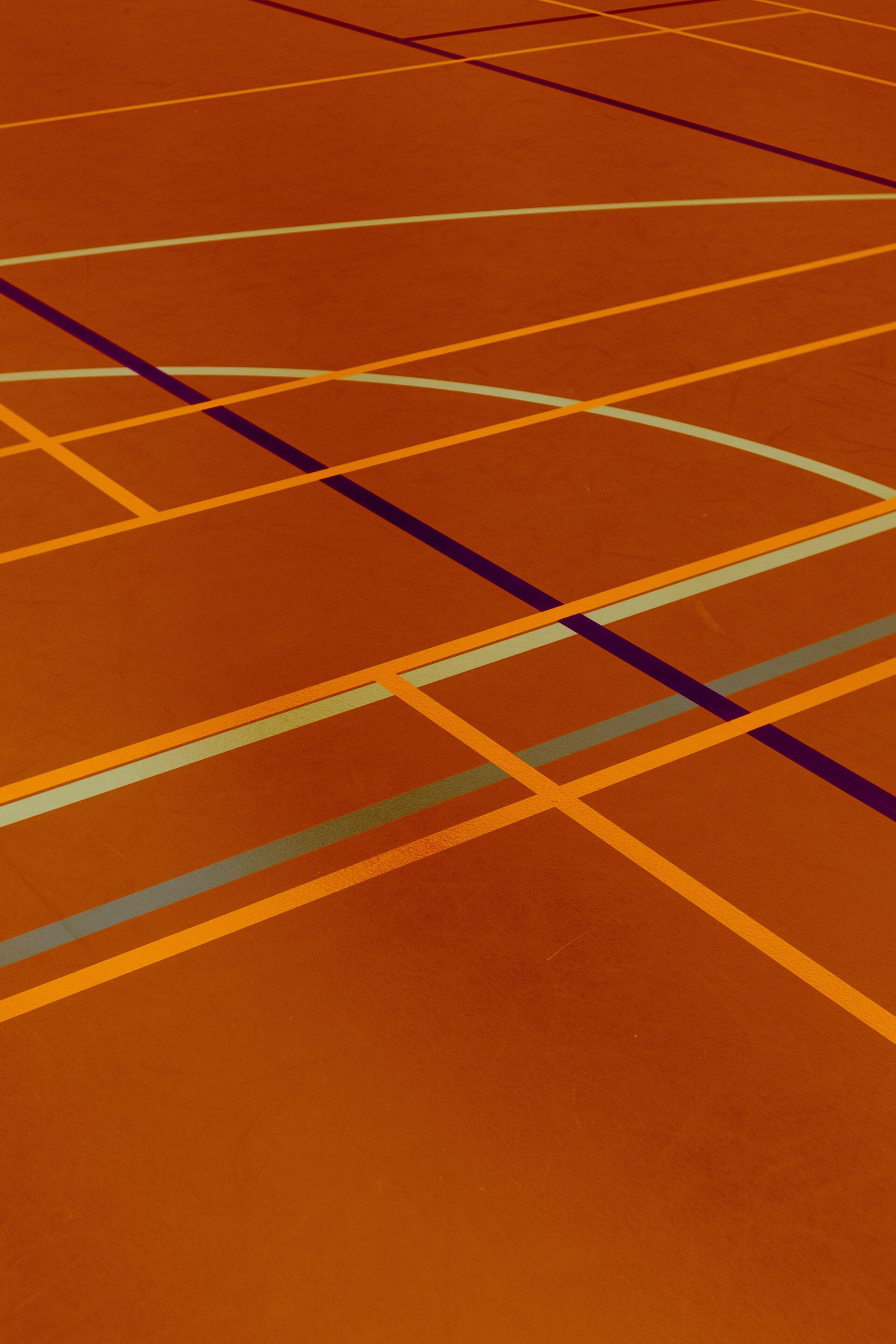 Longi-Top Five Important Things You Need To Know.