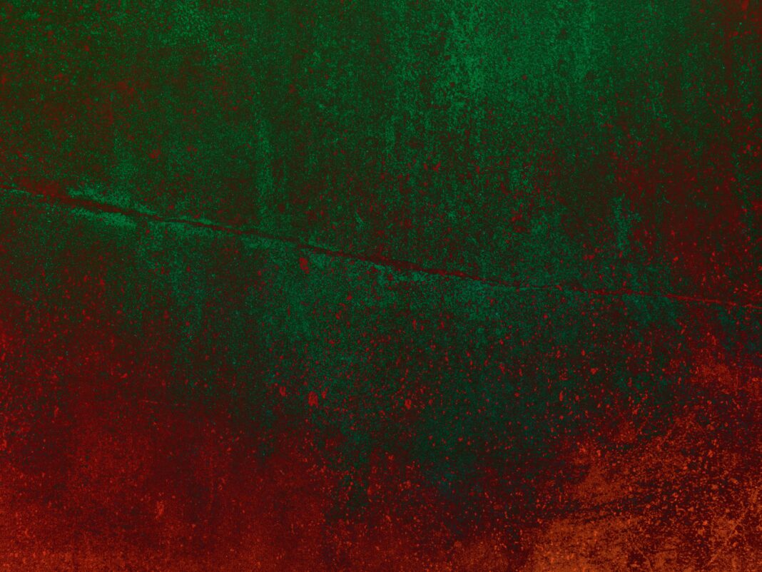 72andSunny-Top Five Important Things You Need To Know.