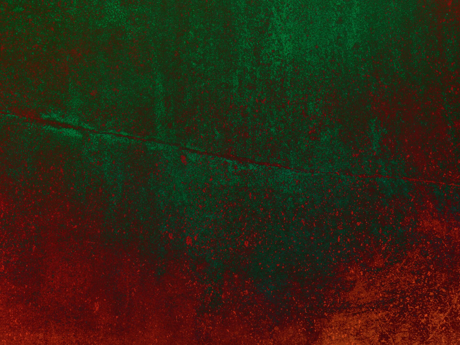 72andSunny-Top Five Important Things You Need To Know.