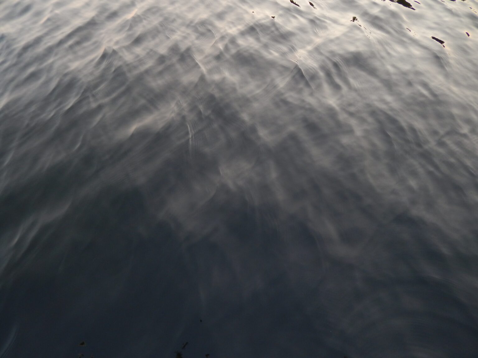 Transparent Electronics -A Must Read Comprehensive Guide