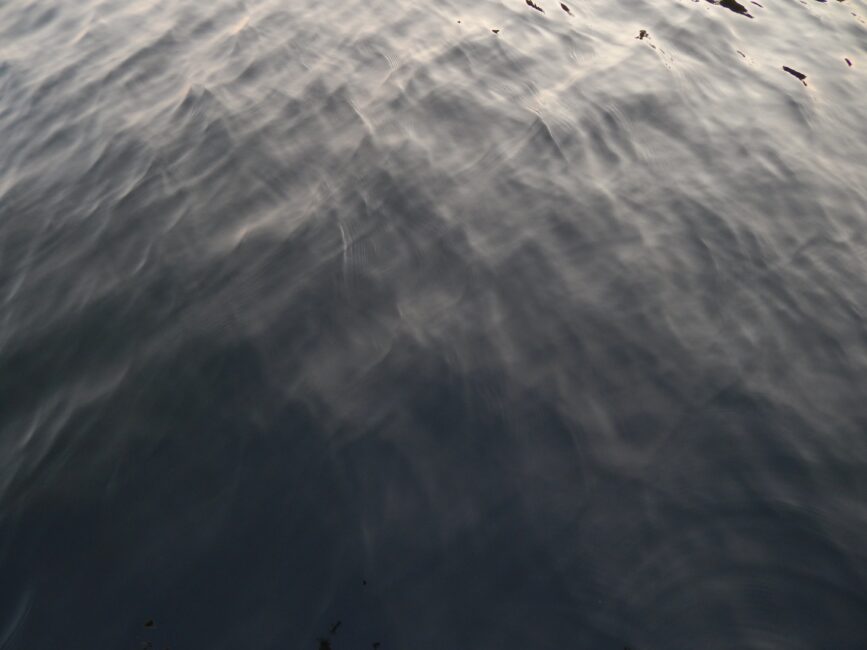 Transparent Electronics -A Must Read Comprehensive Guide