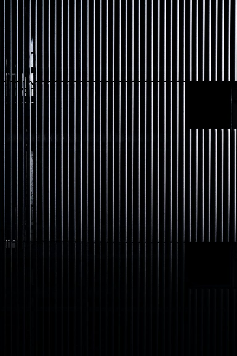 Light Field Displays-Top Ten Things You Need To Know.