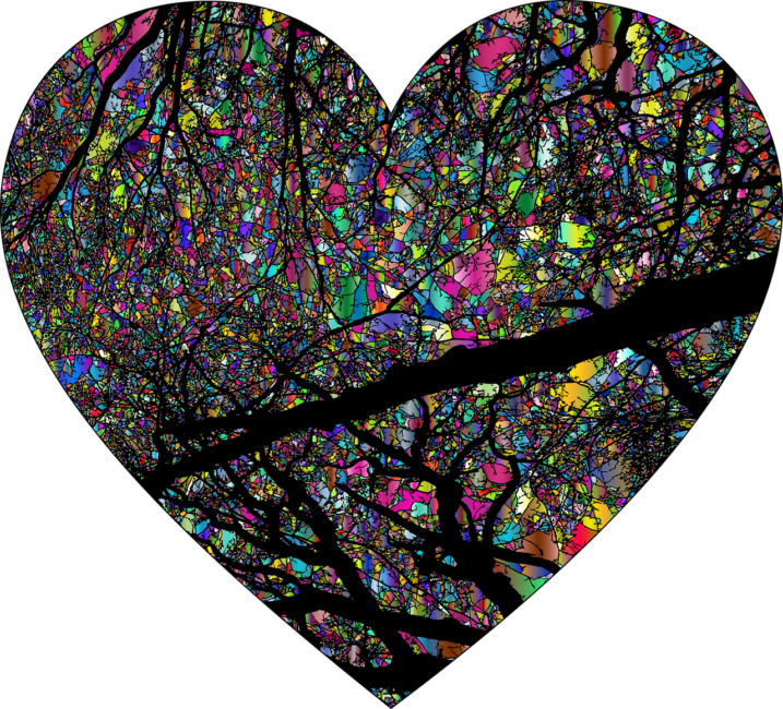 Stg private equity Top Ten Things You Need To Know