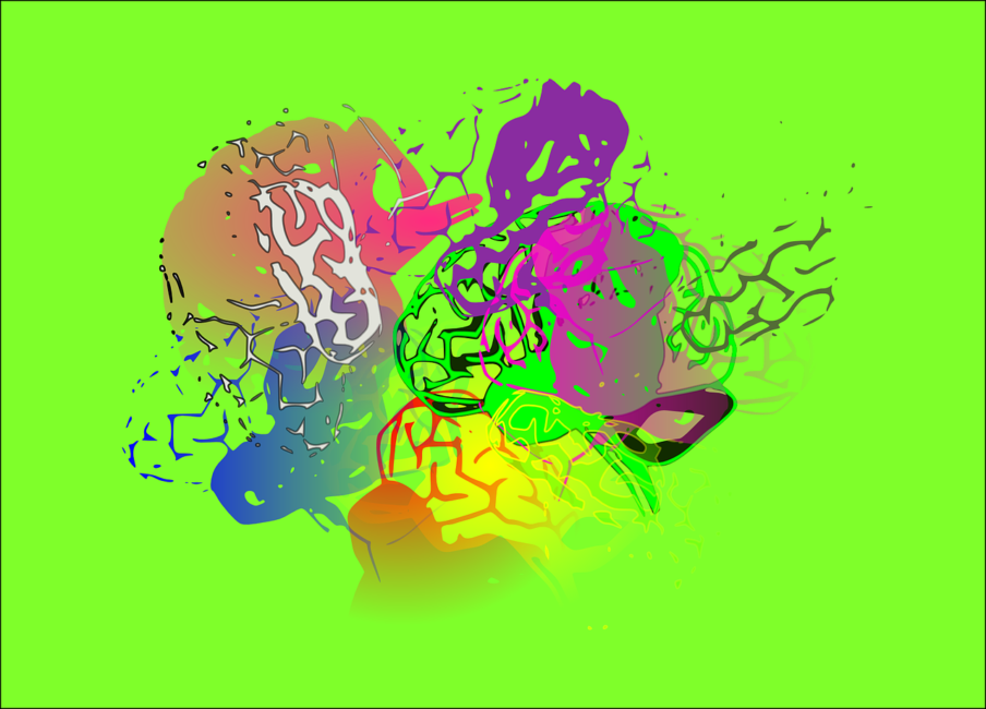 Doccano - Top Ten Most Important Things You Need To Know