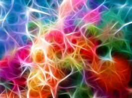 DocuClipper - A Comprehensive Guide