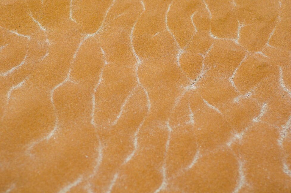 NetApp – Top Ten Important Things You Need To Know | DotCom Magazine-Influencers And ...