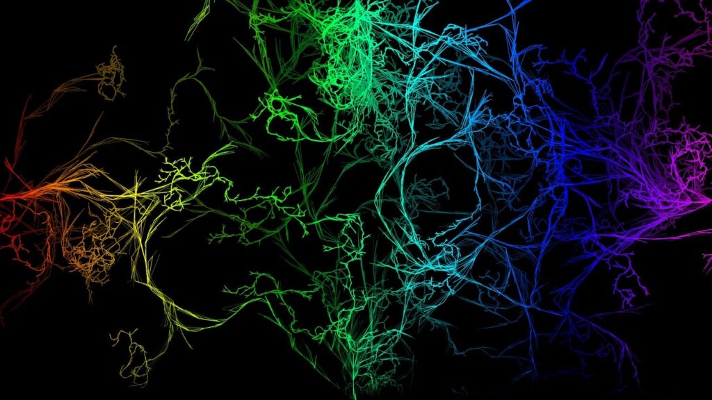 Gopls - A Fascinating Comprehensive Guide