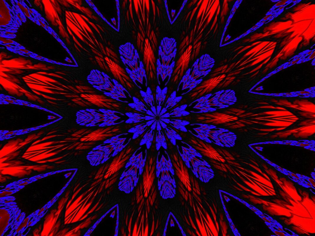 Hugo Insurance - A Must Read Comprehensive Guide