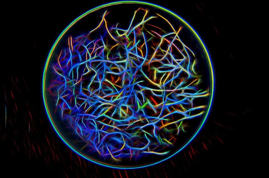 Nivoda - A Must Read Comprehensive Guide