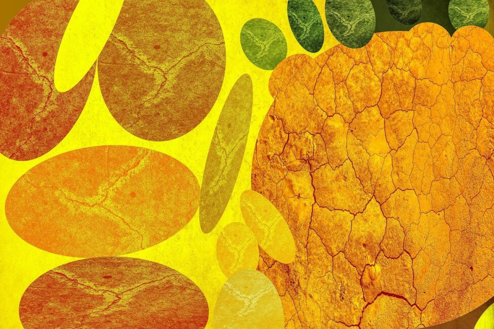 Loopy - Top Ten Important Things You Need To Know